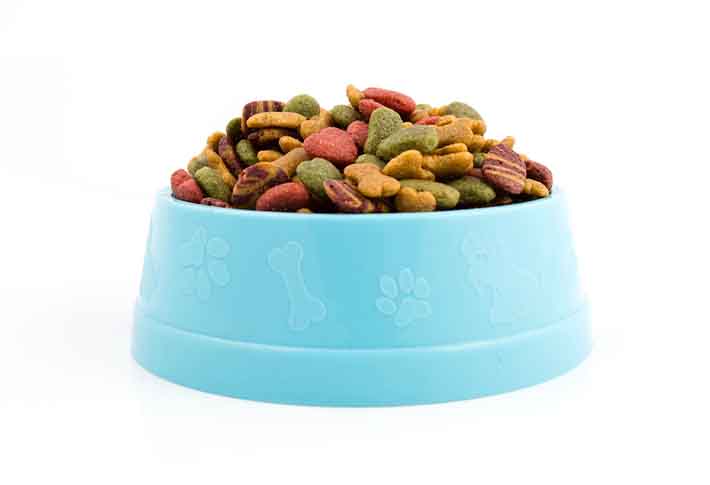 The Top Interactive Dog Bowls of 2024 | Review by DogGear